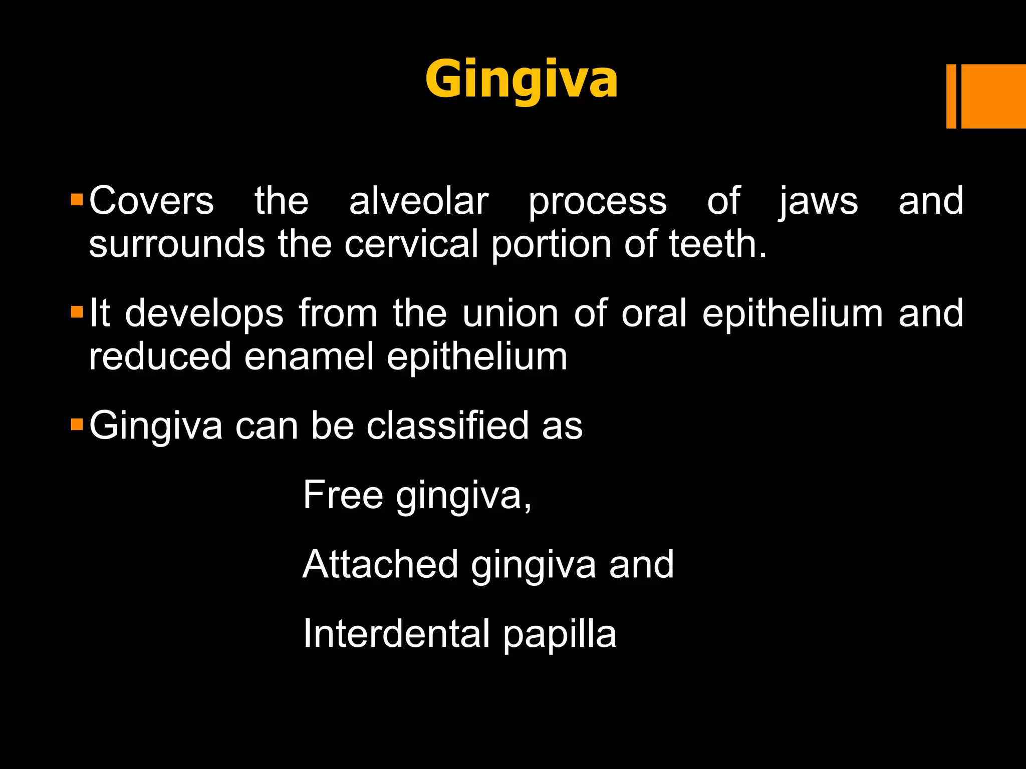Histology of oral mucous membrane and gingiva | PPTX