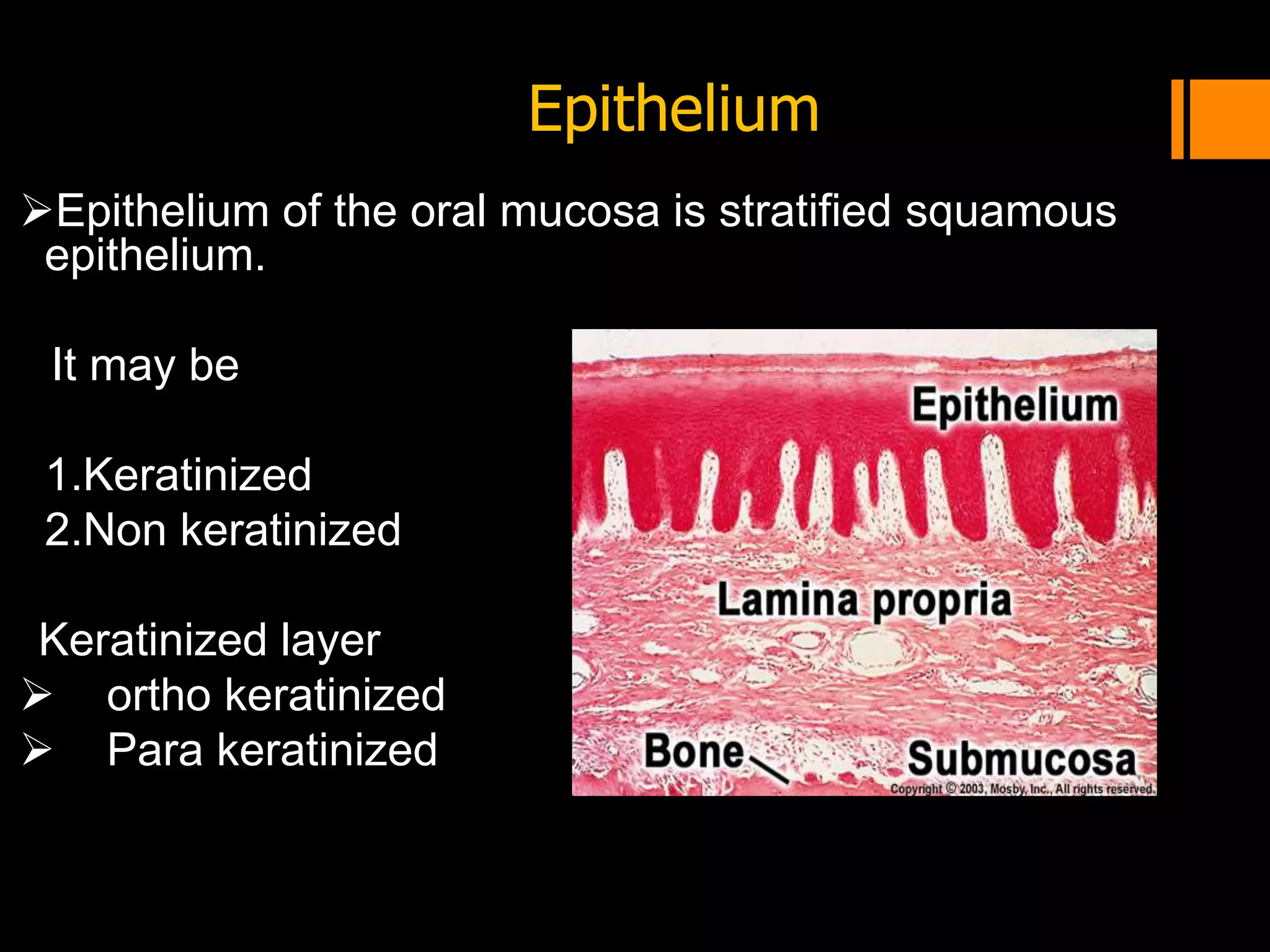 Histology of oral mucous membrane and gingiva | PPTX