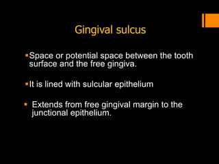 Histology of oral mucous membrane and gingiva | PPTX