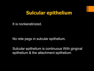 Histology of oral mucous membrane and gingiva | PPTX