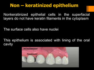Non Keratinized Mucosa