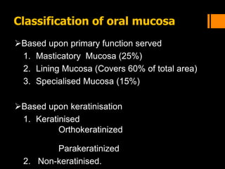 Masticatory Mucosa