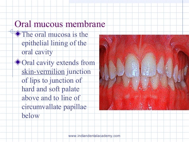 Mucous Membrane Examples