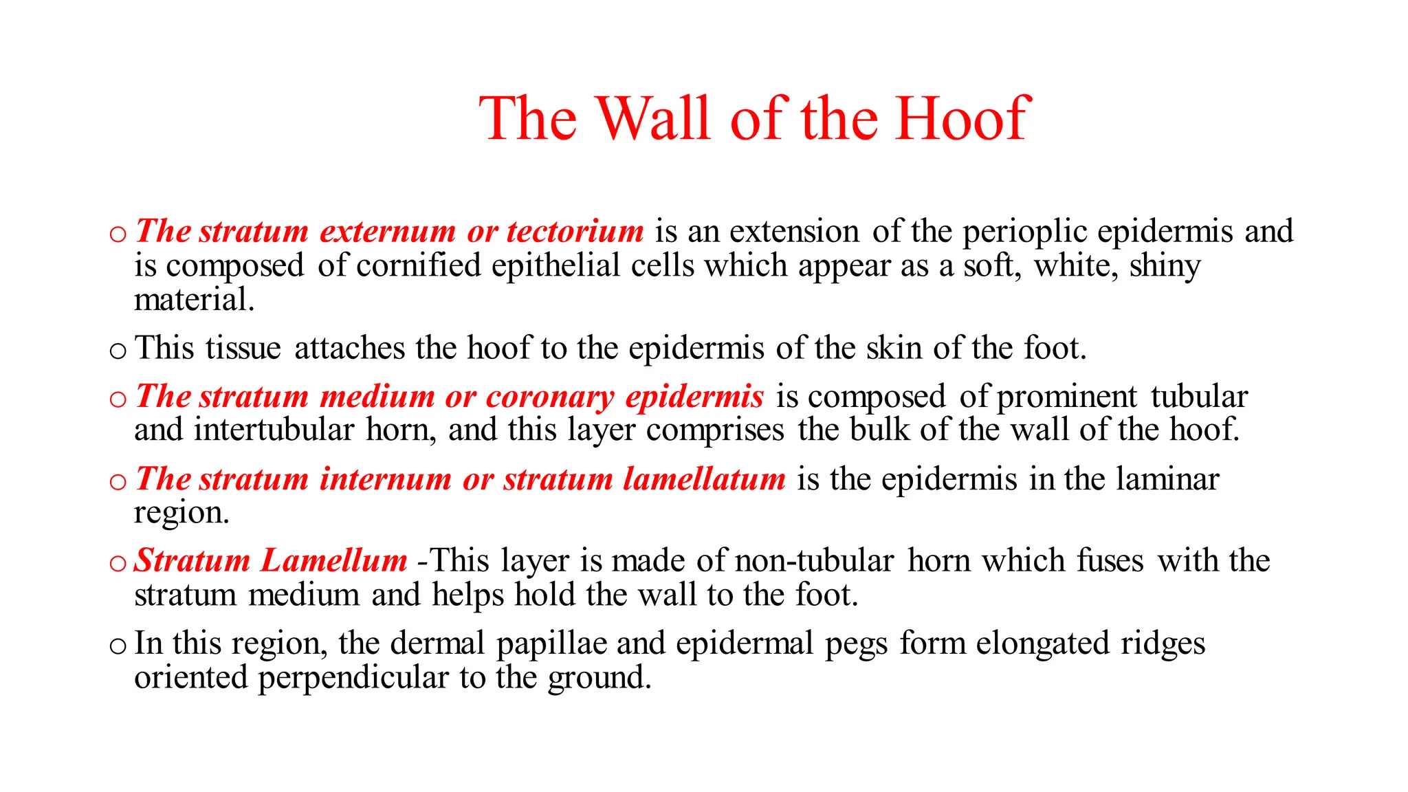 Histology of organs IN animals veterinary histology.pdf