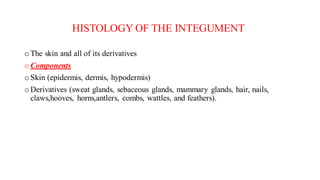 Histology of organs IN animals veterinary histology.pdf