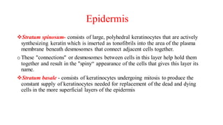 Histology of organs IN animals veterinary histology.pdf | Skin and ...