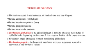 Histology of organs IN animals veterinary histology.pdf