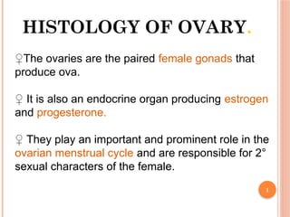 Comprehensive Histology of the Ovary: Structure and Follicle ...