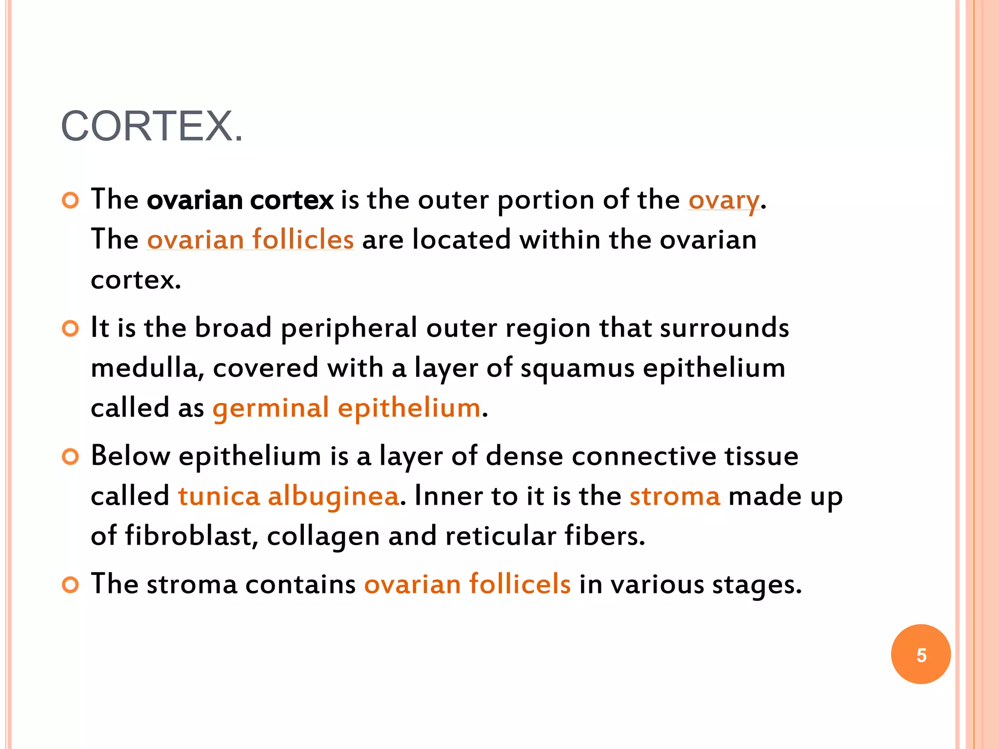 Histology of ovaries | PPTX