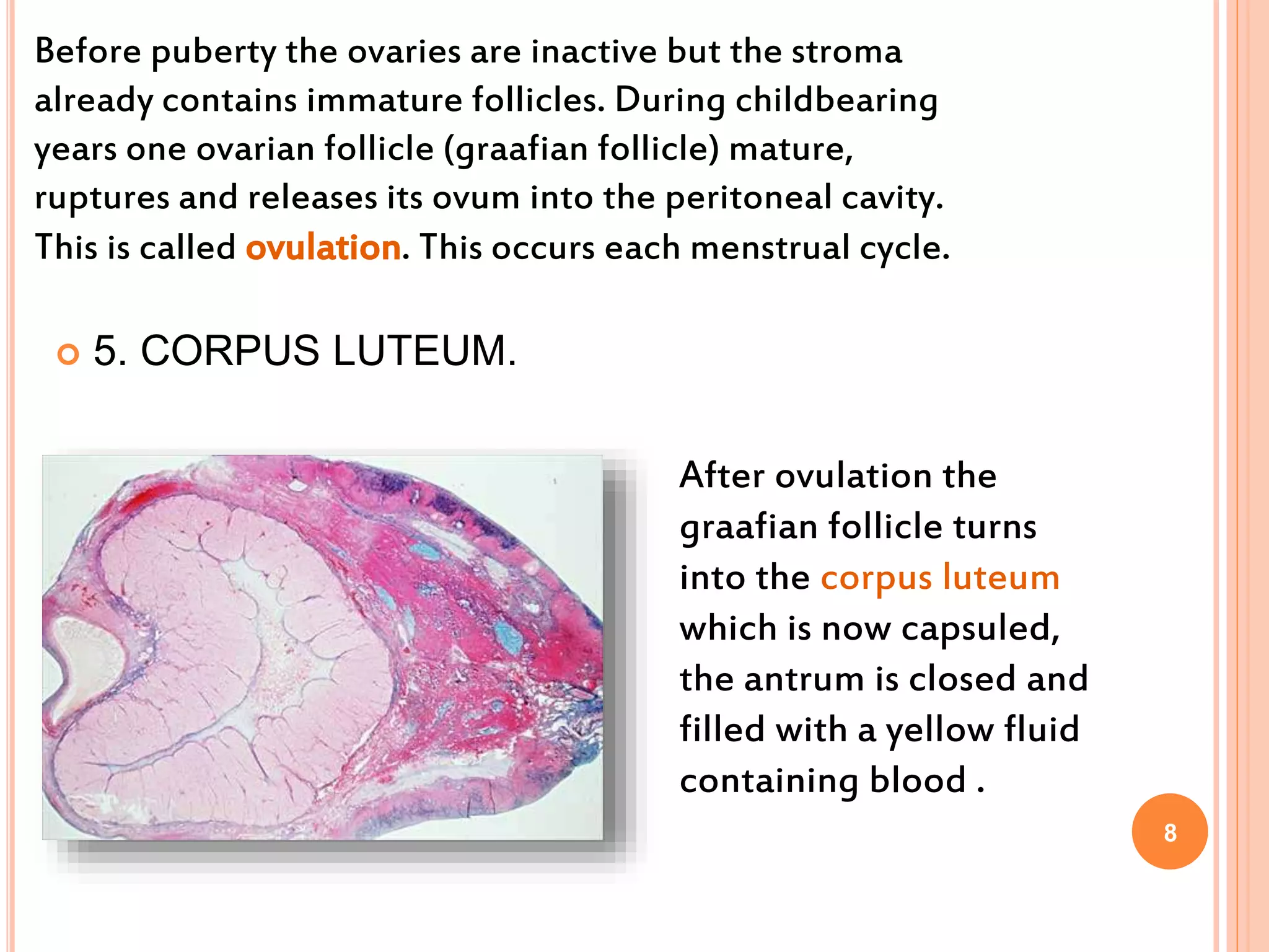 Histology of ovaries | PPTX
