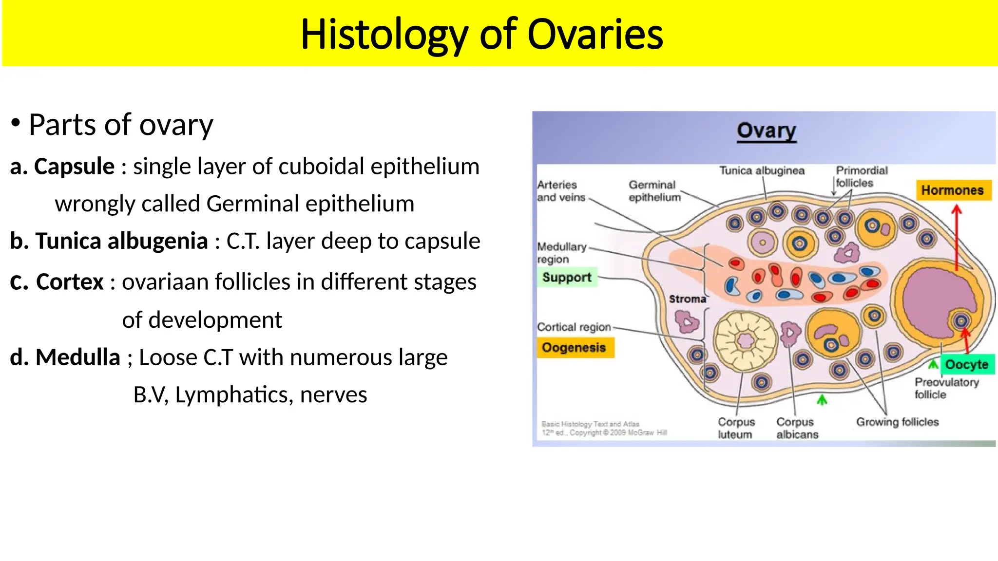 Histology of Ovaries, Uterine tubes, Uterus, Vagina..pptx