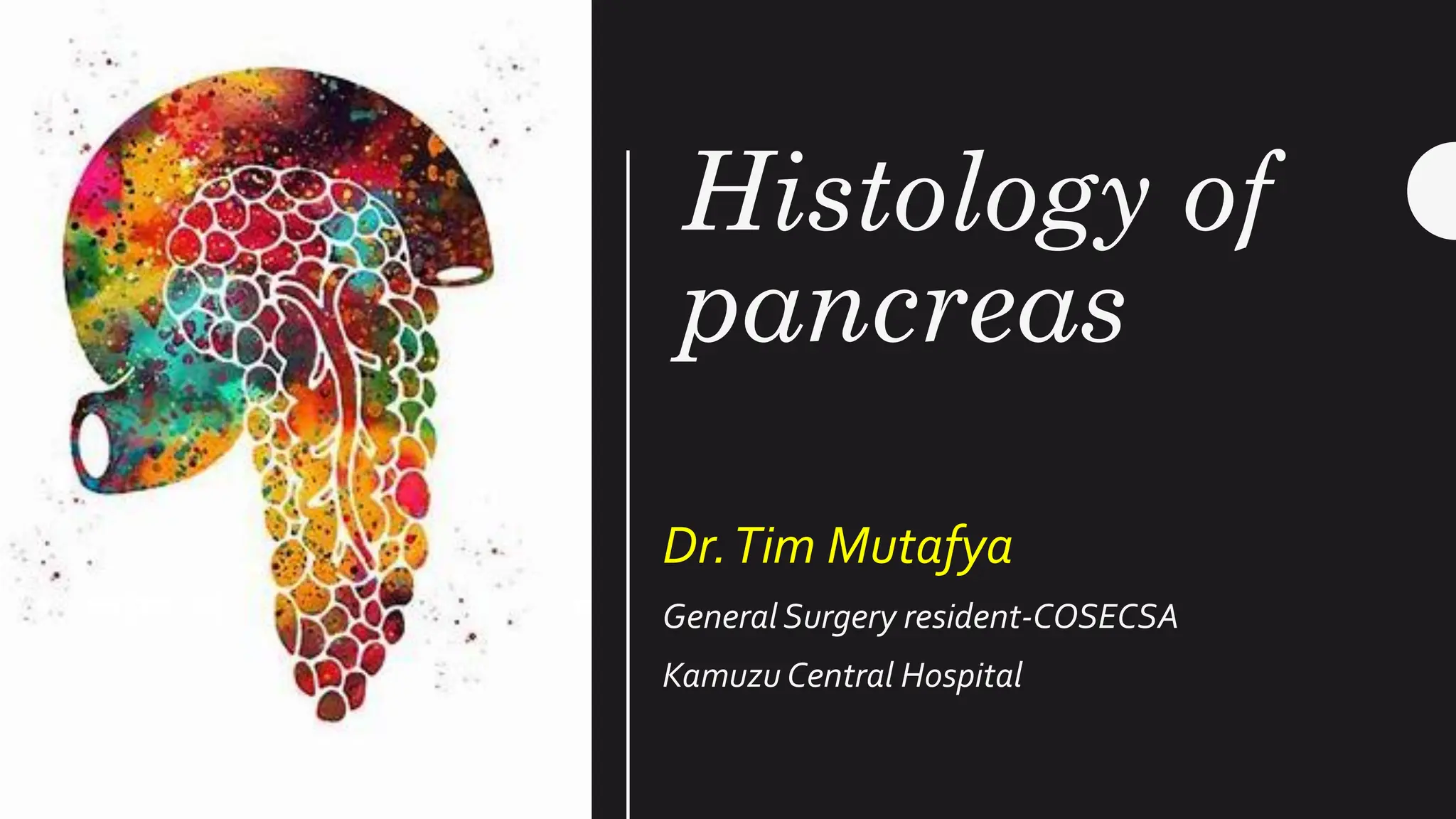 Histology of pancreas.pdf