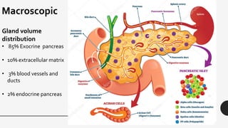 Histology of pancreas.pdf