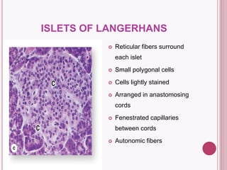 Histology of Pancreas, adrenal.pdf