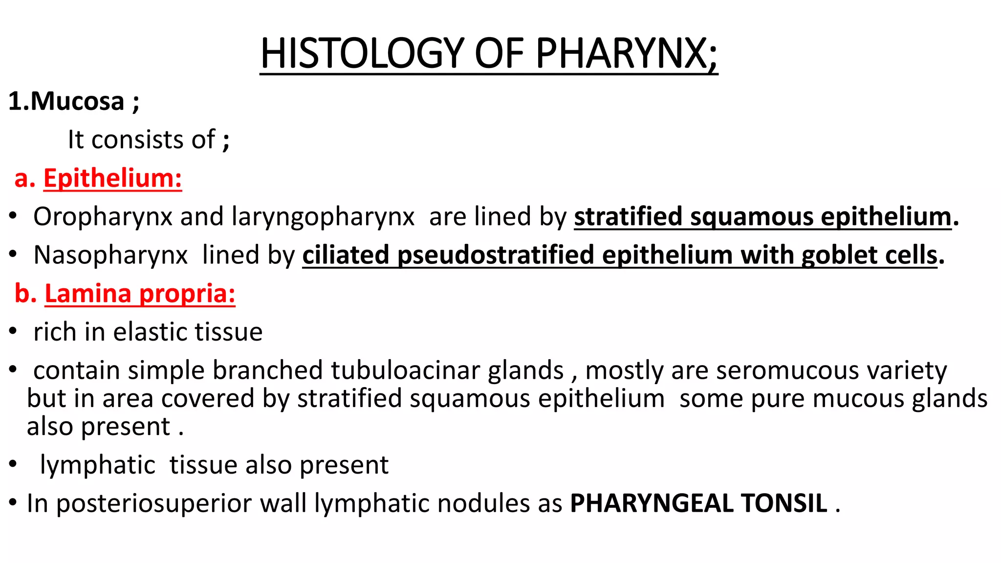 Histology of pharynx & larynx | PPTX