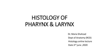 Histology of pharynx & larynx | PPTX