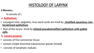 Histology of pharynx & larynx | PPTX