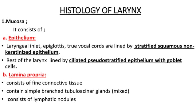 Histology of pharynx & larynx | PPTX