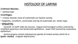 Histology of pharynx & larynx | PPTX