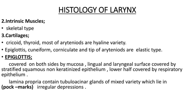 Histology of pharynx & larynx | PPTX