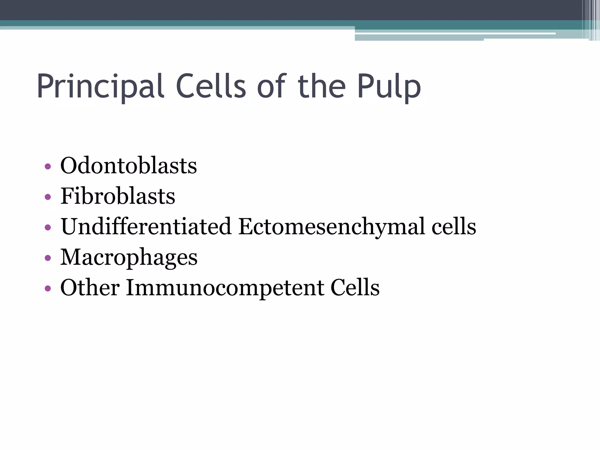 Histology of Pulp | PPTX | Dental Health | Diseases and Conditions