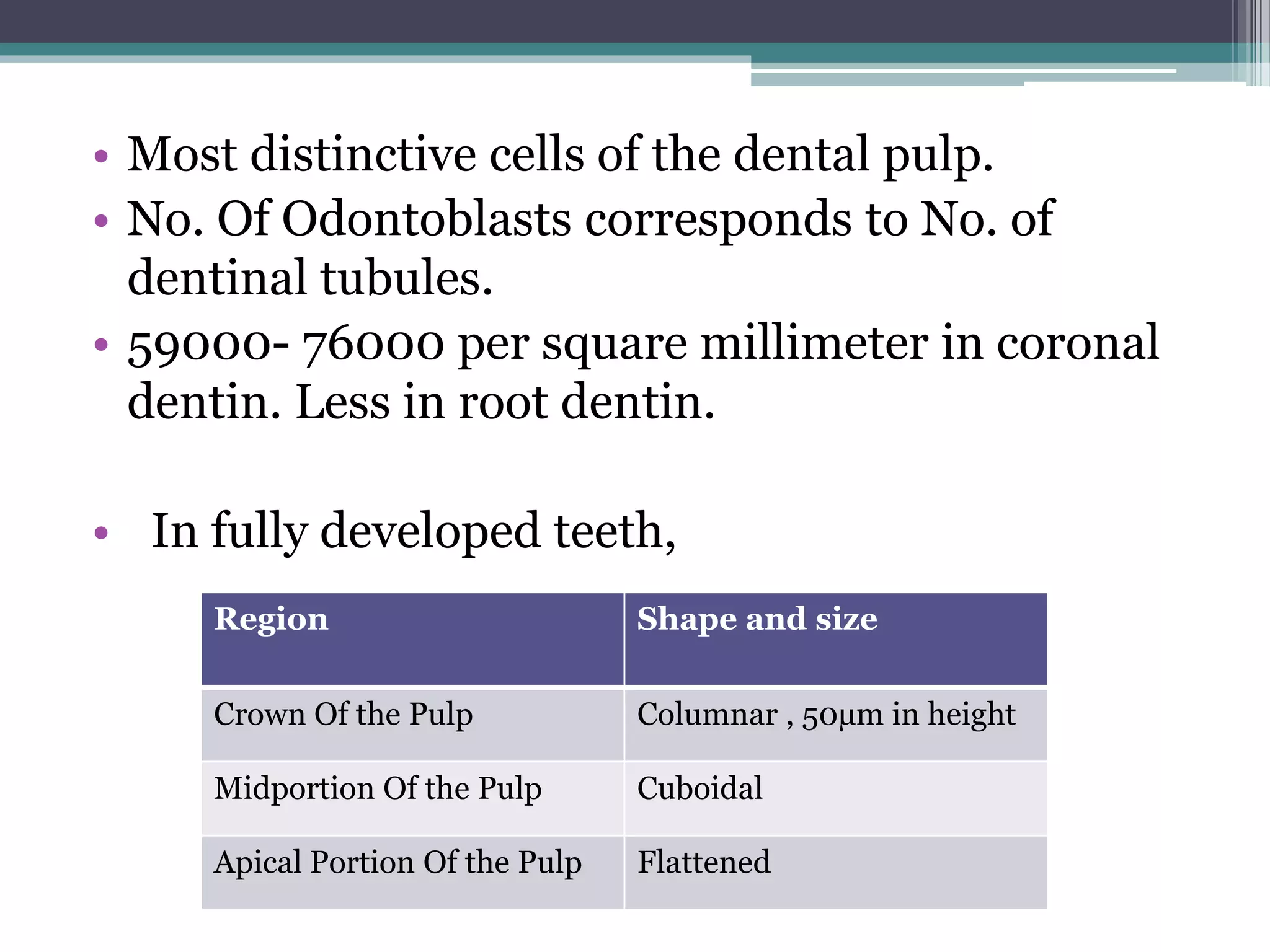 Histology of Pulp | PPTX | Dental Health | Diseases and Conditions