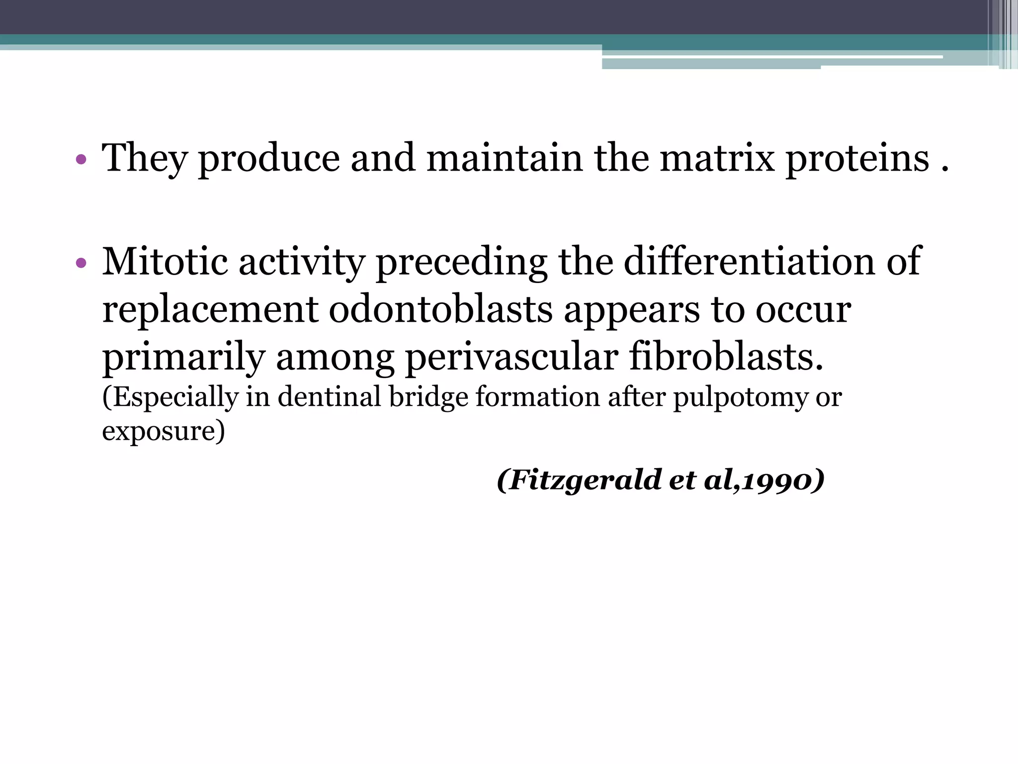 Histology of Pulp | PPTX