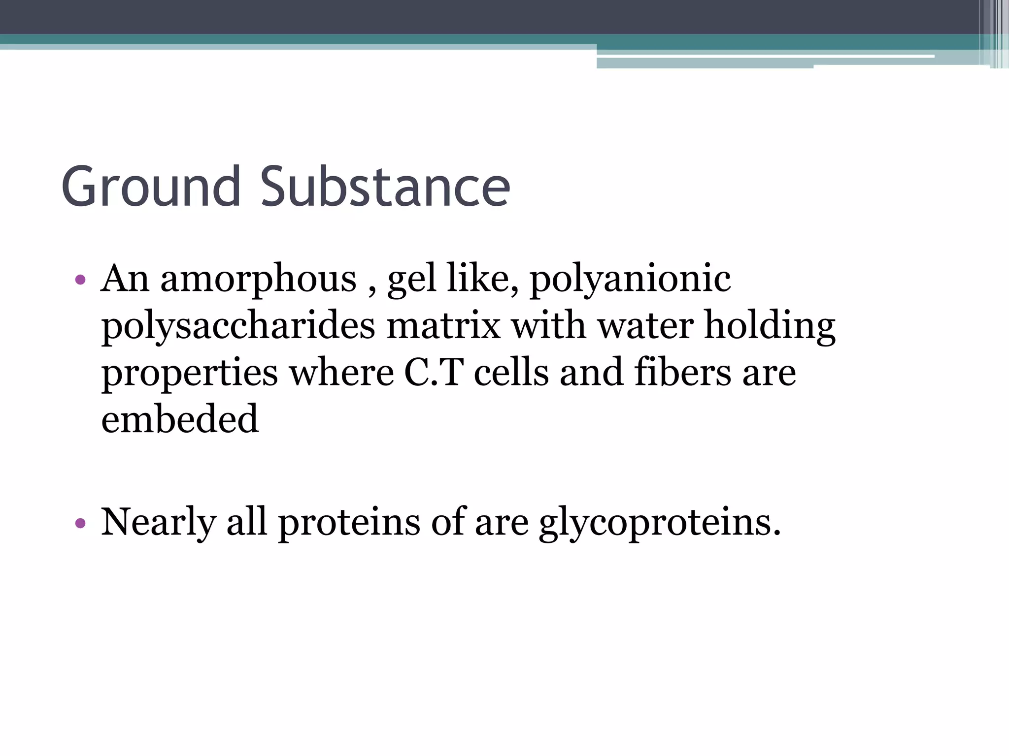 Histology of Pulp | PPTX | Dental Health | Diseases and Conditions