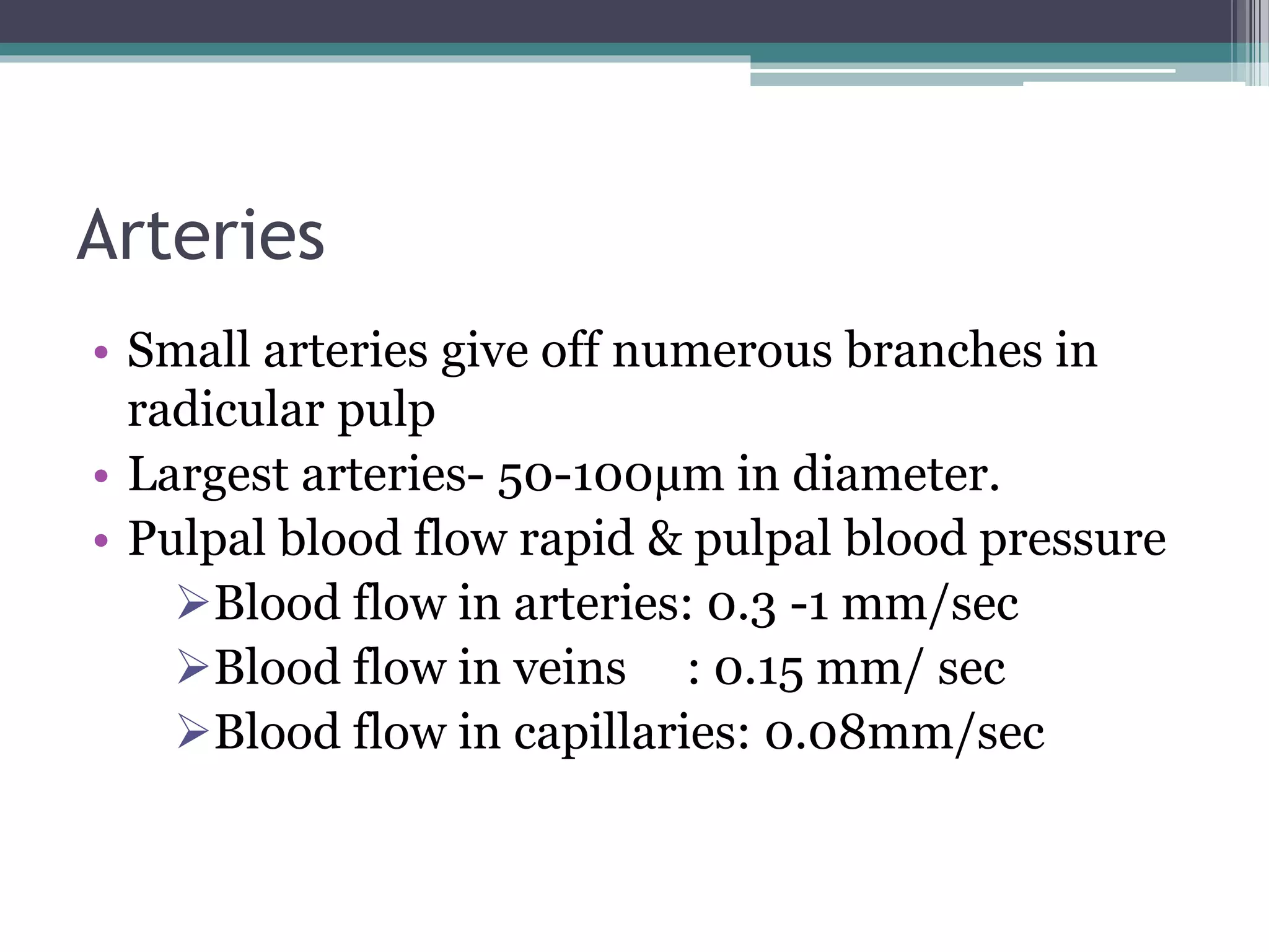 Histology of Pulp | PPTX