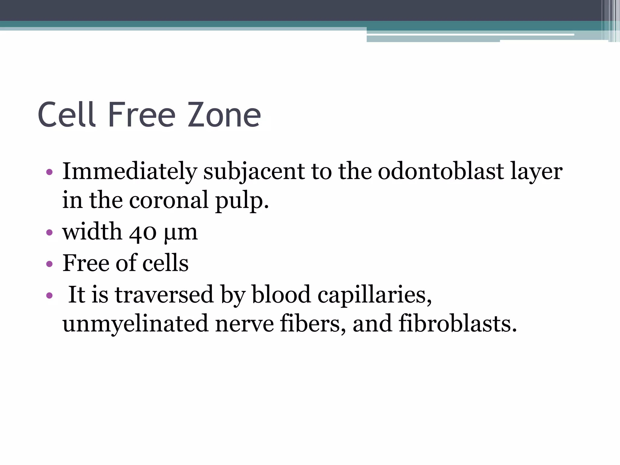 Histology of Pulp | PPTX | Dental Health | Diseases and Conditions