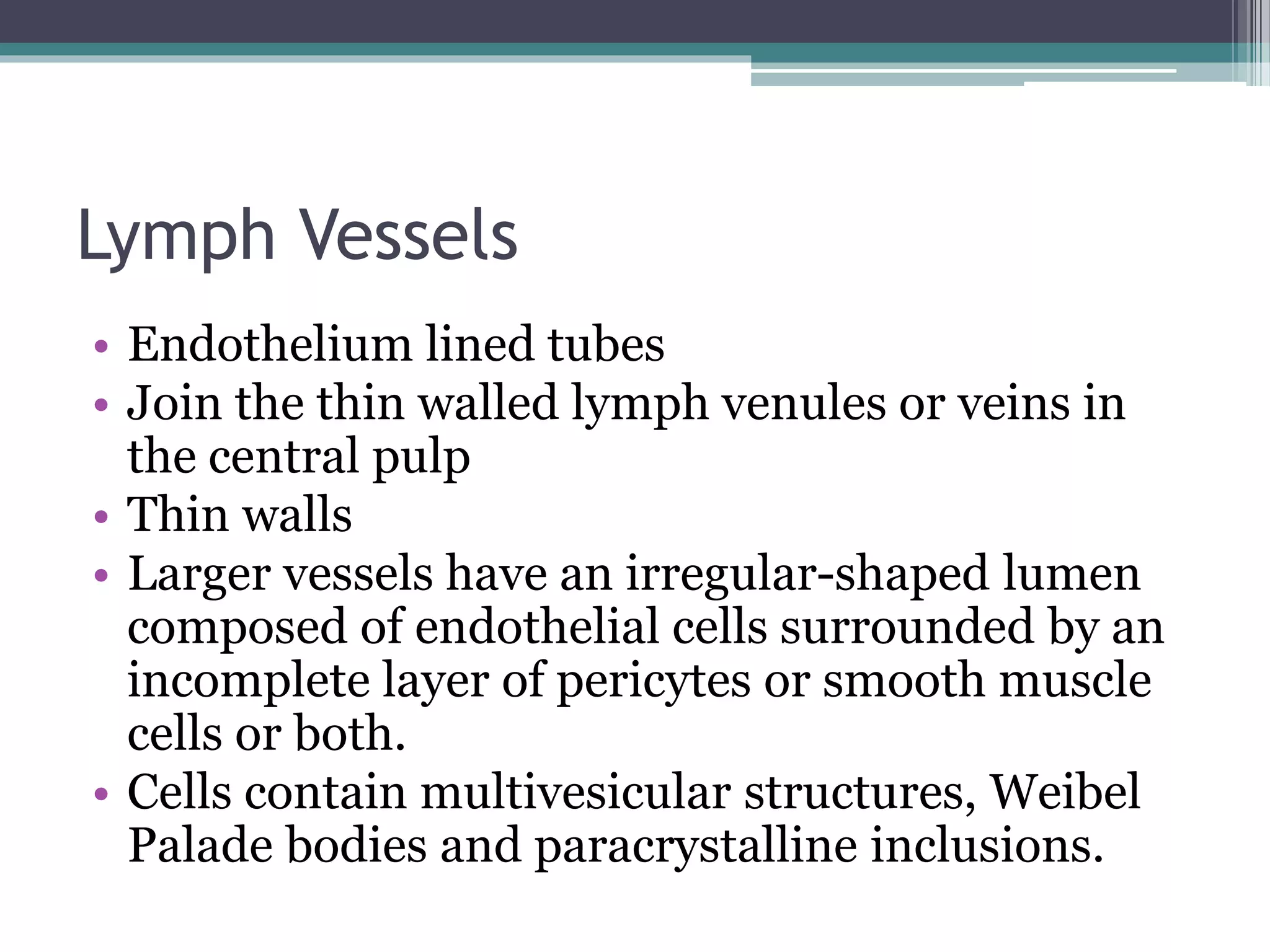 Histology of Pulp | PPTX