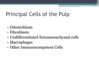 Histology of Pulp | PPTX
