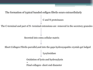 Histology of Pulp | PPTX