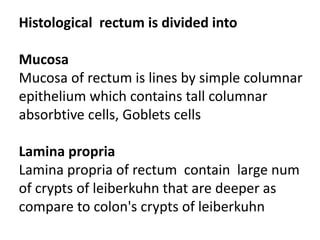 Histology Of Rectum And Anal Canal.pptx