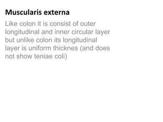 Histology Of Rectum And Anal Canal.pptx