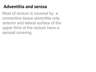 Histology Of Rectum And Anal Canal.pptx