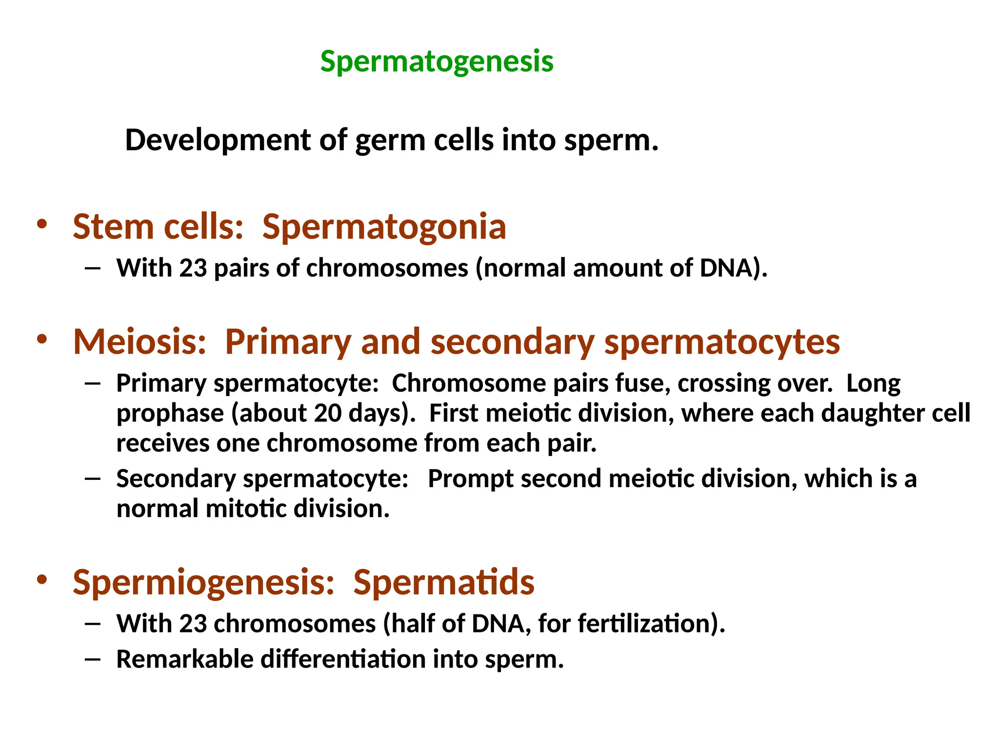 HISTOLOGY OF REPRODUCTIVE SYSTEM.pptx Gross | PPTX