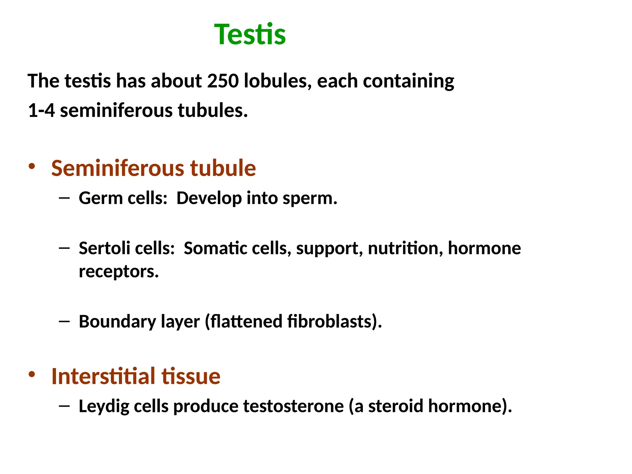 HISTOLOGY OF REPRODUCTIVE SYSTEM.pptx Gross | PPTX