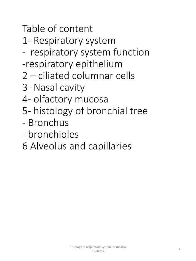 histology of respiratory system upper lower | PDF | Lung and ...