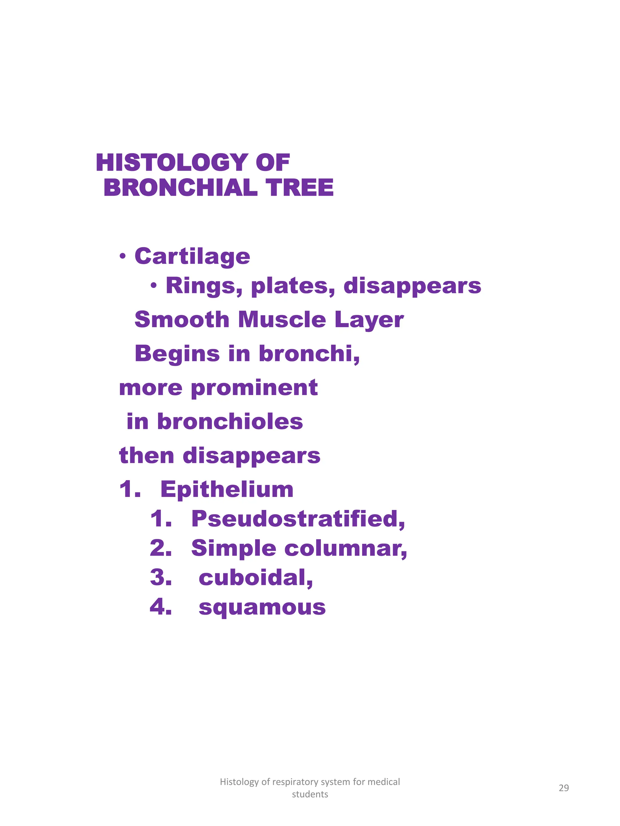 histology of respiratory system upper and lower | PPTX