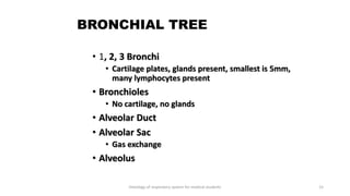 histology of respiratory system upper and lower | PPT