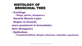 histology of respiratory system upper and lower | PPT