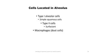 histology of respiratory system upper and lower | PPT
