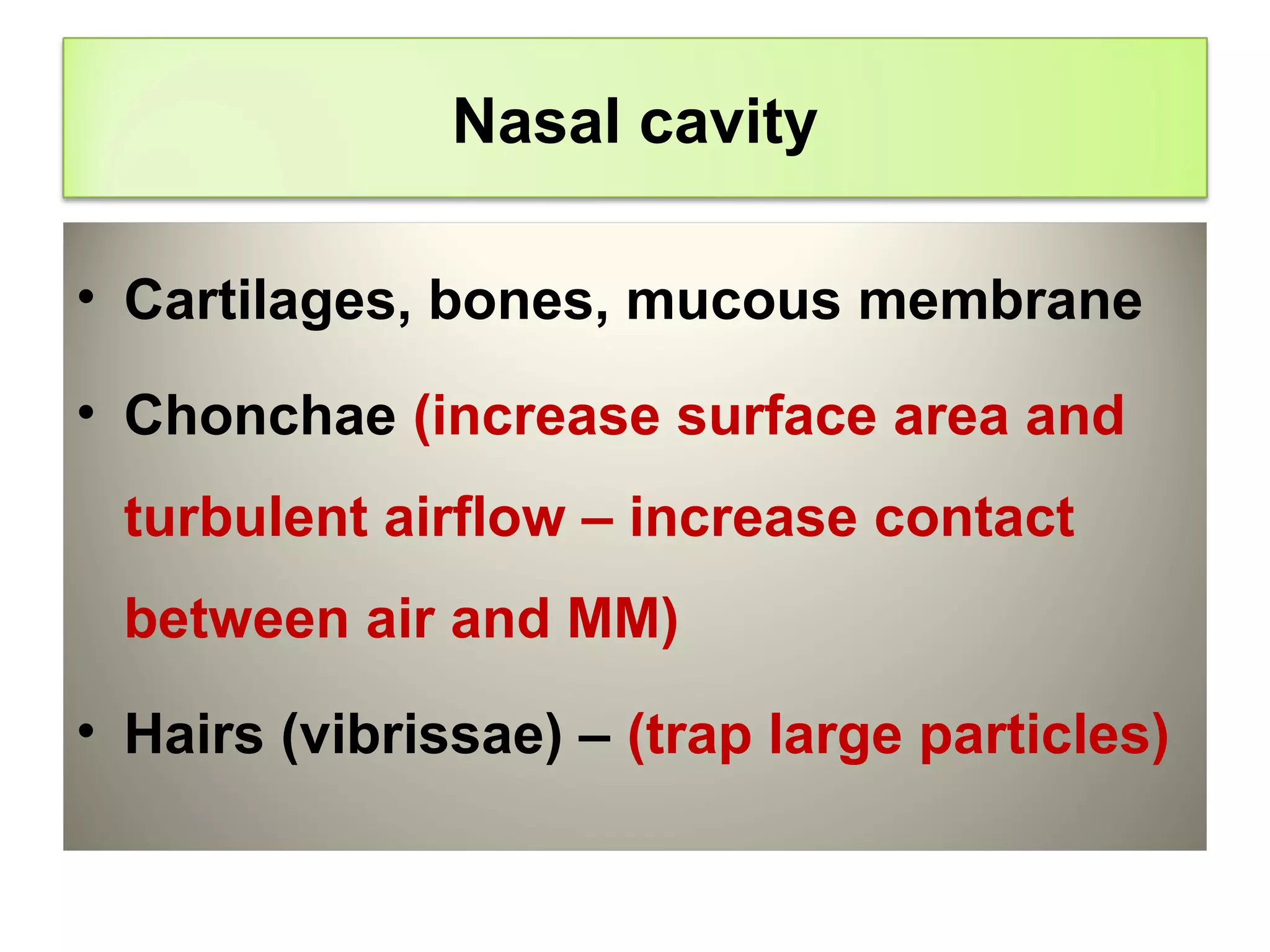 Histology of respiratory system | PPS