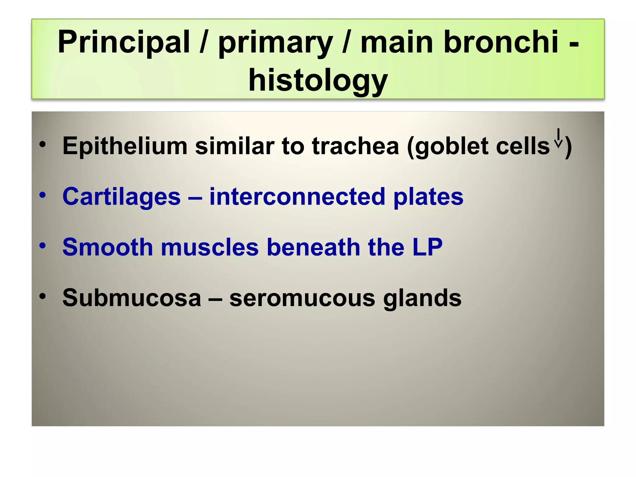 Histology of respiratory system | PPS