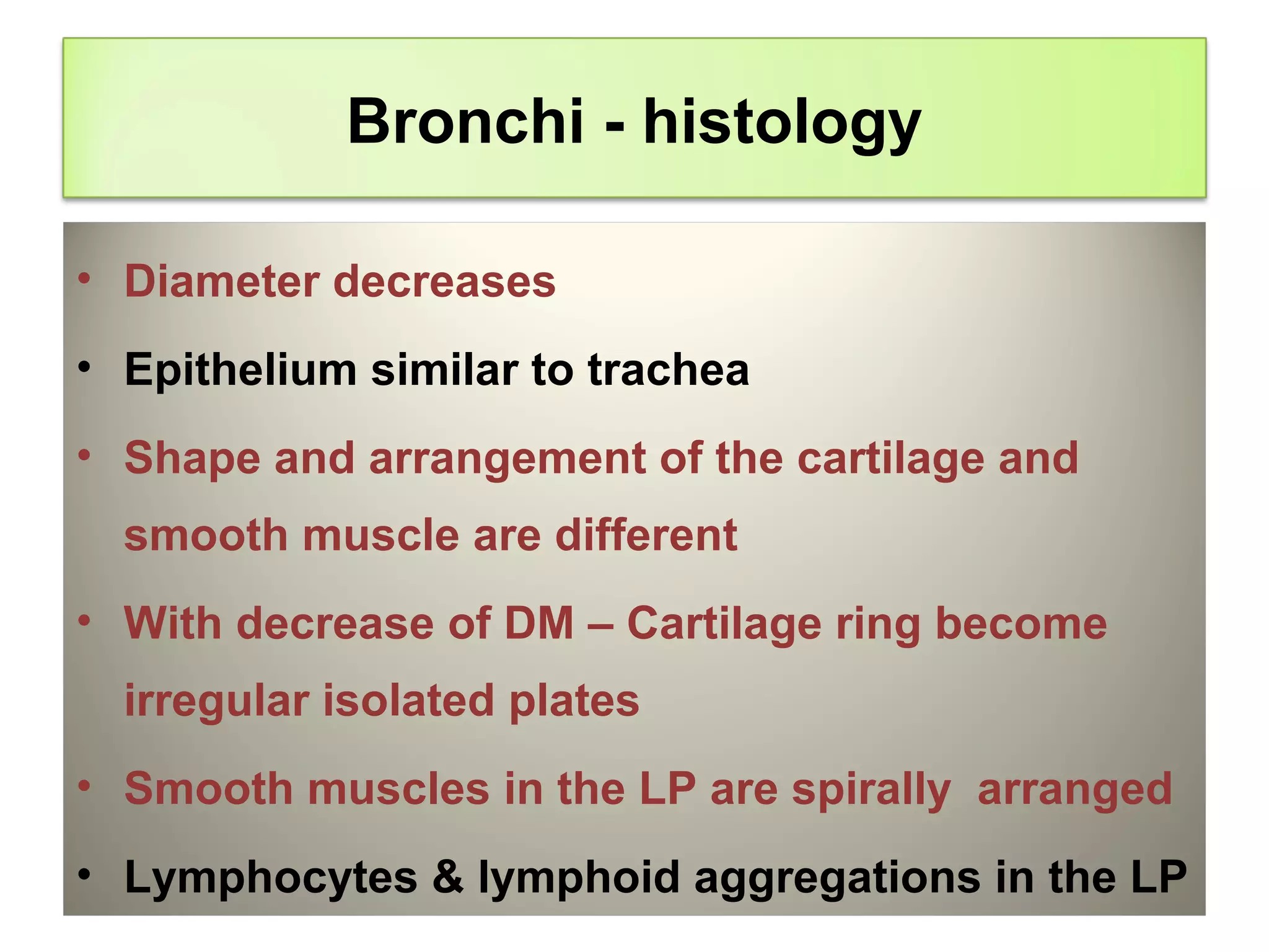 Histology of respiratory system | PPS