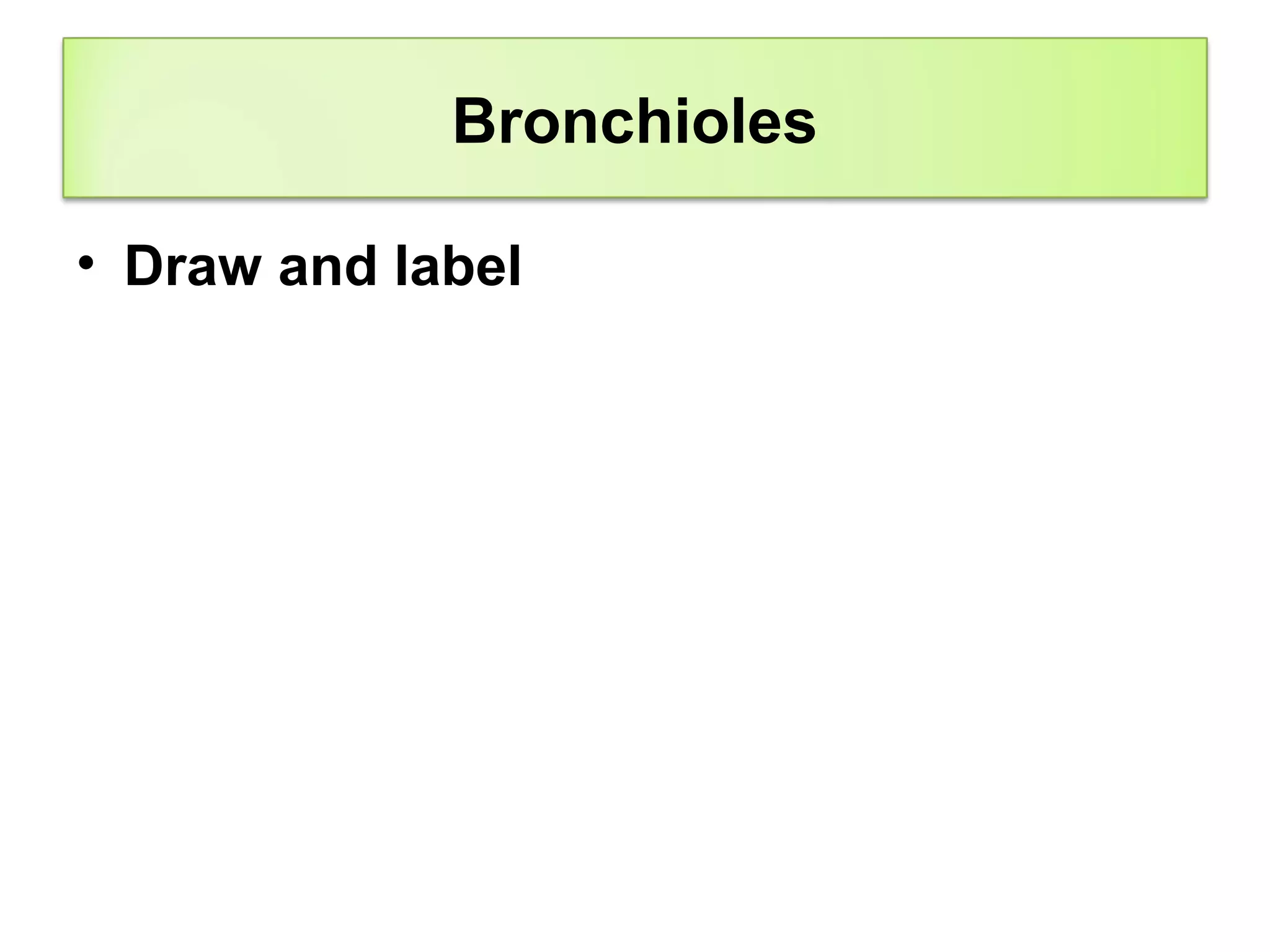 Histology of respiratory system | PPS