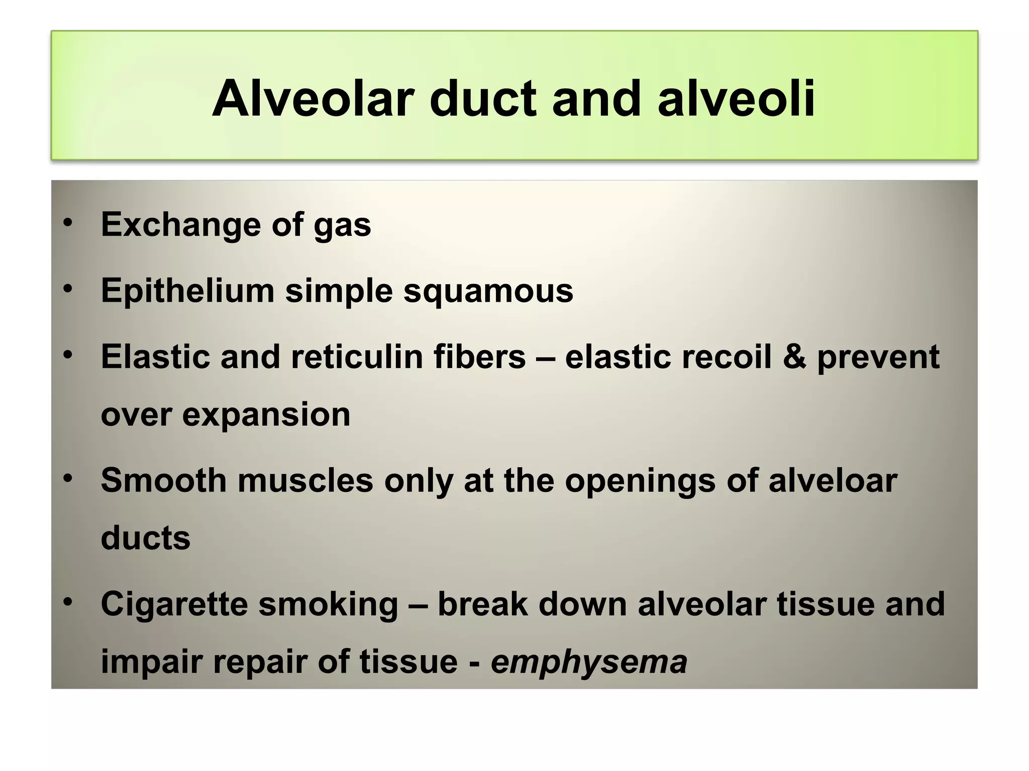 Histology of respiratory system | PPS