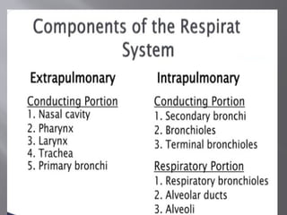 Histology of respiratory system.layers of epithelial tissue | PPTX