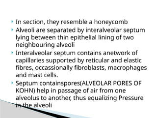 HISTOLOGY OF RESPIRATORY SYSTEM - Copy-1.pptx